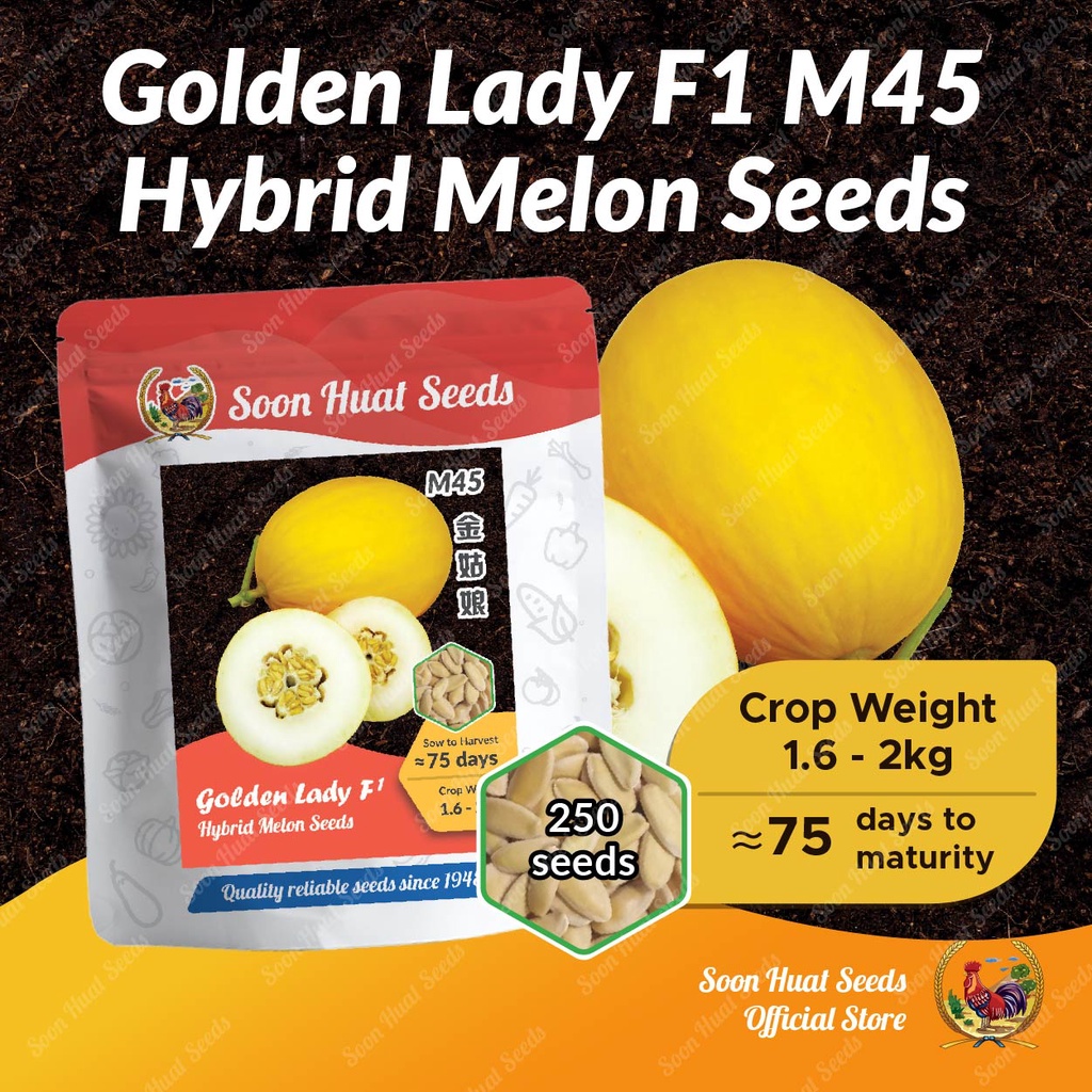 Benih Melon Golden Lady Seeds F1 M45 [10g] Soon Huat Seeds | Shopee ...