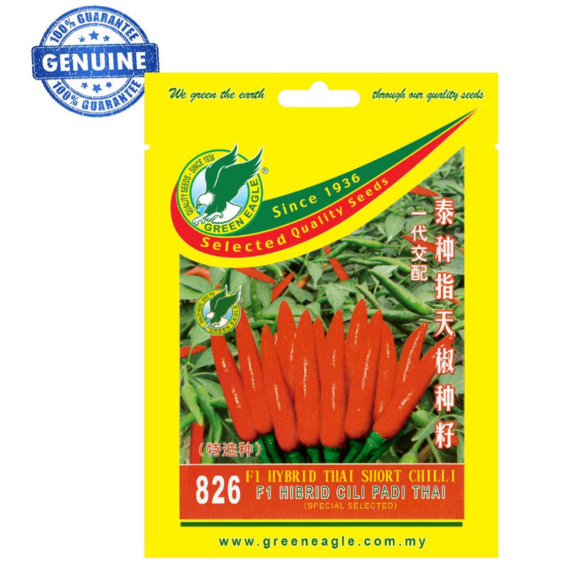 SEEDS / BENIH 826 F1 HYBRID THAI SHORT CHILI 826 F1 HIBRID CILI PADI ...