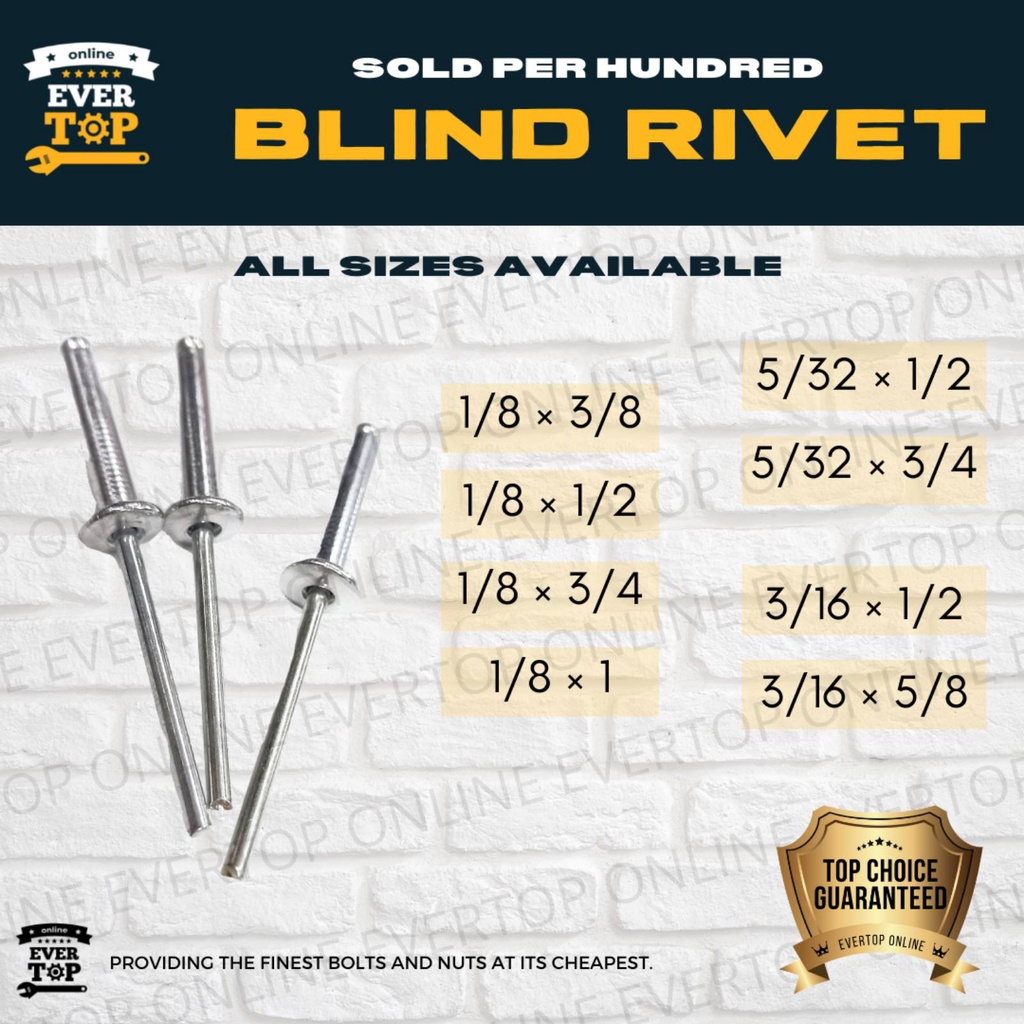 BLIND RIVETS (100PCS) ALL SIZES AVAILABLE | EverTop Online | Shopee ...