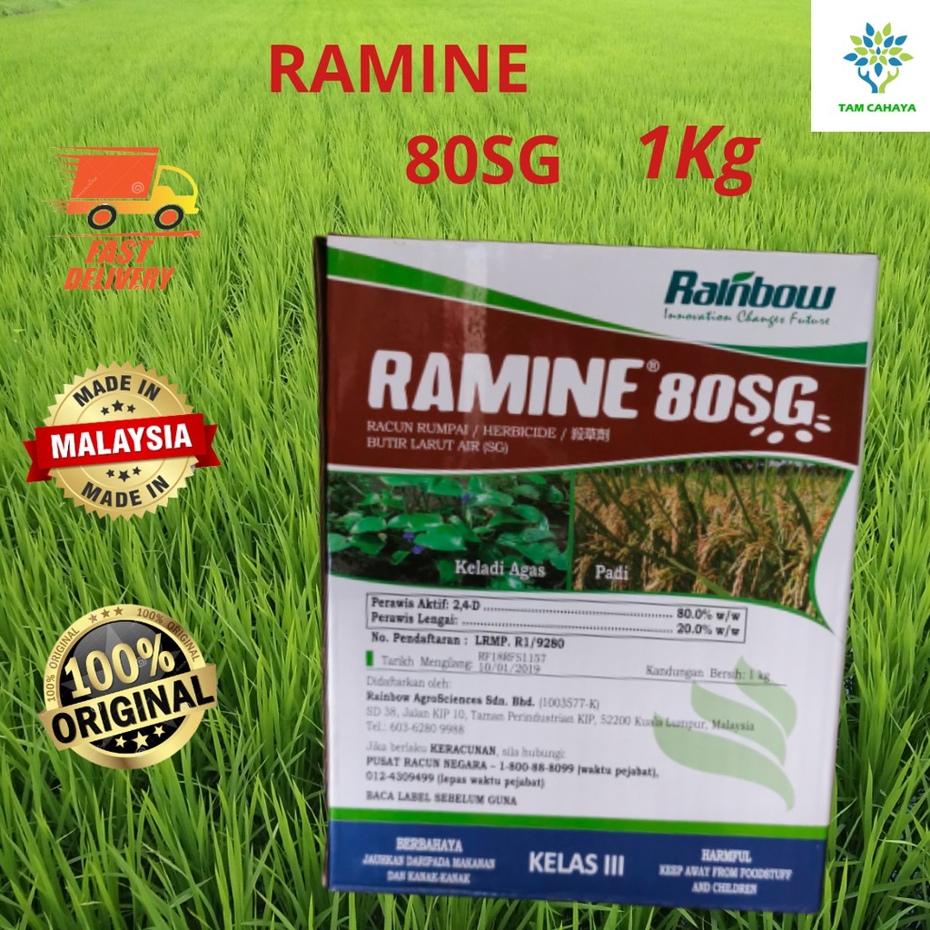 1KG RAMINE 80SG 2,4-D 80% Racun Rumput Padi Racun Rumput Padi Rumpai ...
