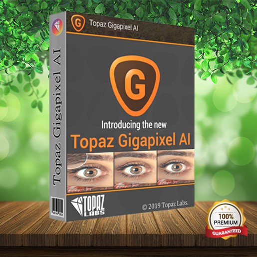 Topaz Gigapixel AI New 2021 LifeTime Full Version Enlarging image ...