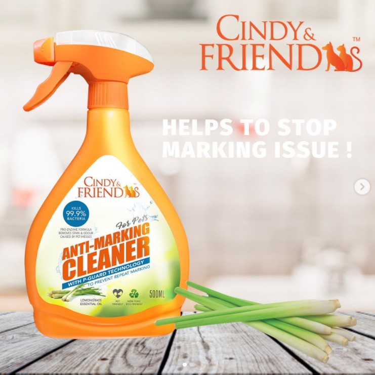 Cindy & Friends Anti Marking Cleaner Spray 500ml 4 flavor available ...