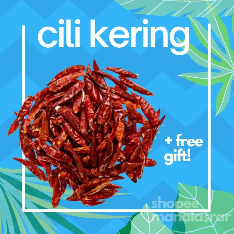 Cili Kering Gemok Gemuk Tak Pedas Dried Big Chili Cili Kering Besar ...