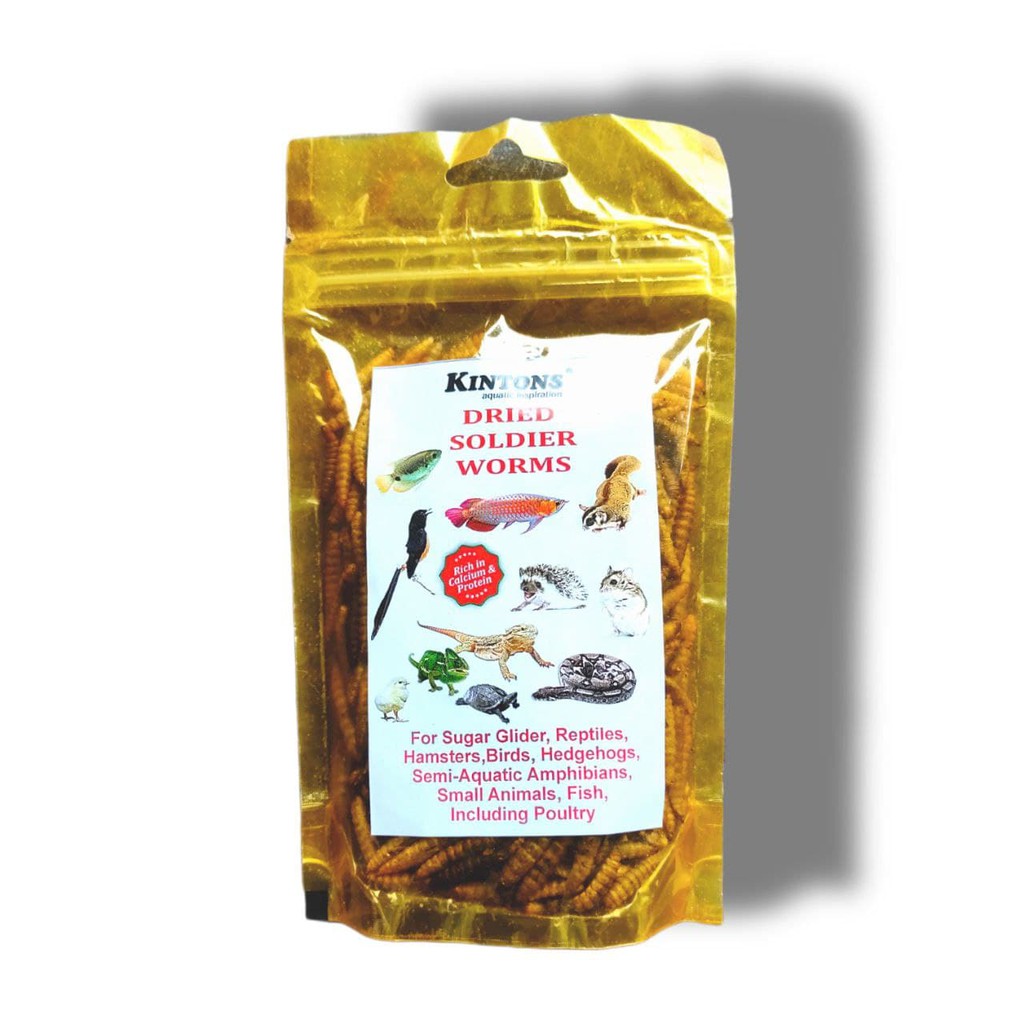 Kintons Dried Soldier Worms Black Soldier Fly Larvae - 100% Natural ...