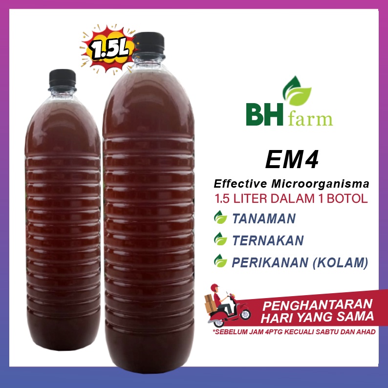 Effective Microorganism EM4 -1.5 liter EM4 Penternakan EM4 Pertanian ...