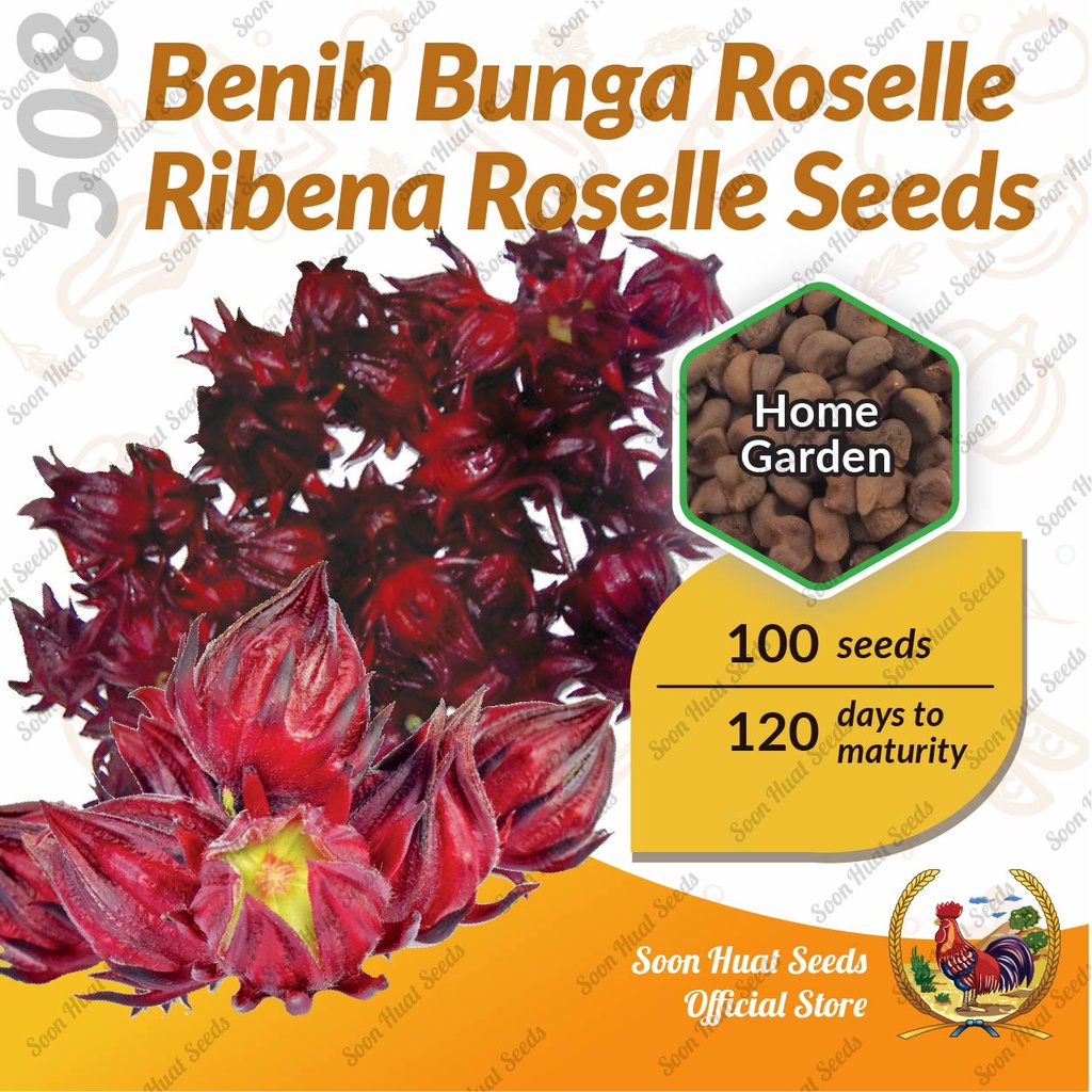 [Small Pack/100g] 508 Benih Roselle Ribena Soon Huat Seeds | Shopee ...