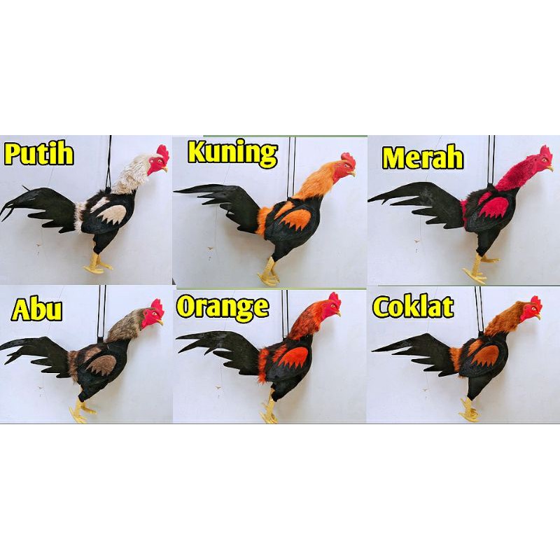 Rooster Doll / Bangkok Chicken Doll / Dummy Rooster / barongan manok na ...