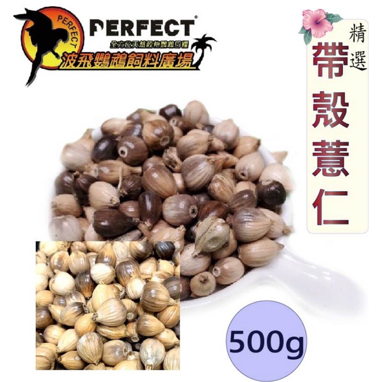 [Bofei Pet] Shelled Job's Tears 500g (Natural Parrot Snacks) | Shopee ...