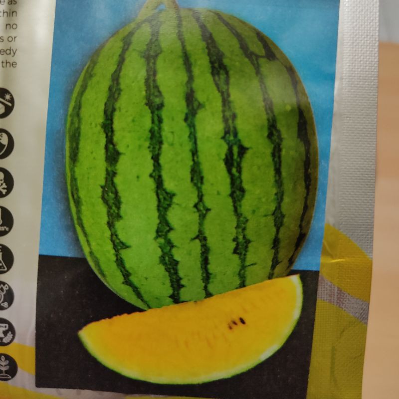Biji Benih Tembikai Kuning 5pcs Yellow Watermelon Seeds Fruit Seed Buah ...