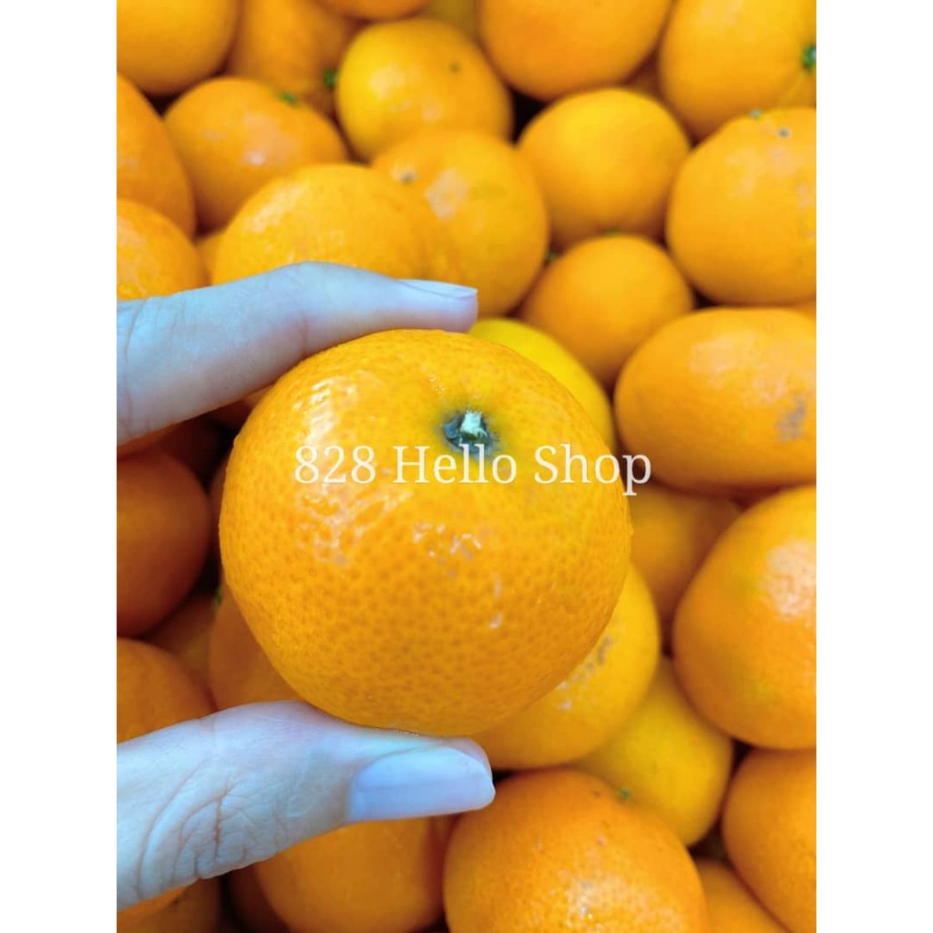Australia Mini Mandarin Orange 1kg (Delivery in JB area only) | Shopee ...