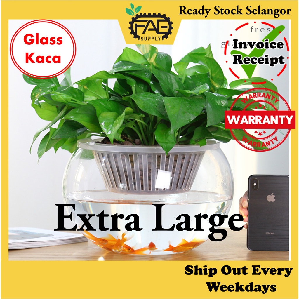 Pasu Bunga kaca bulat besar Glass vase extra large Indoor Hydroponic ...