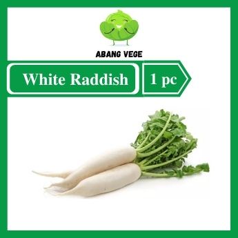 Lobak Putih / 白萝卜 / White Raddish (400g - 600g) Cameron Highlands Fresh ...