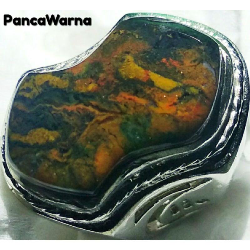 NABI Pancawarna (The Prophet's Garbage) | Shopee Malaysia