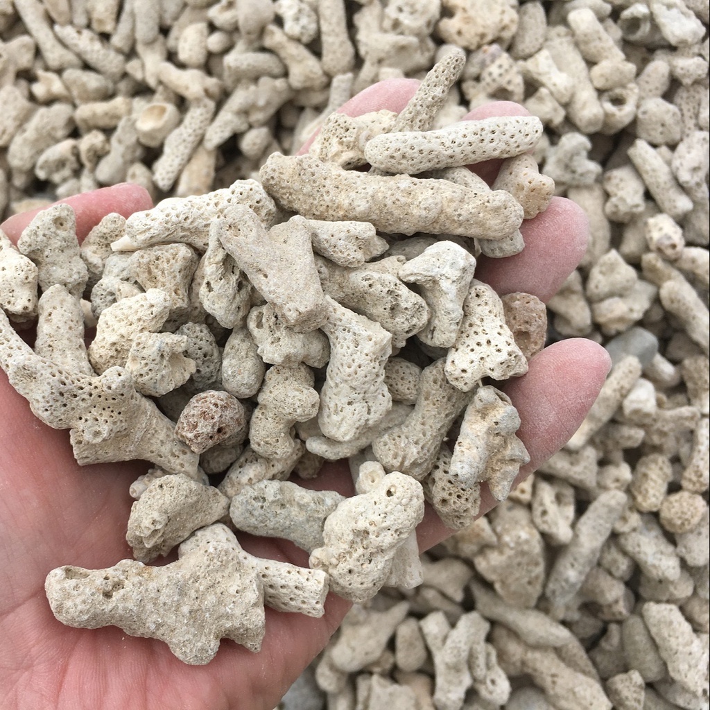 1KG Coral Stone Aquarium Aquascape Filter Media Stone | Shopee Malaysia