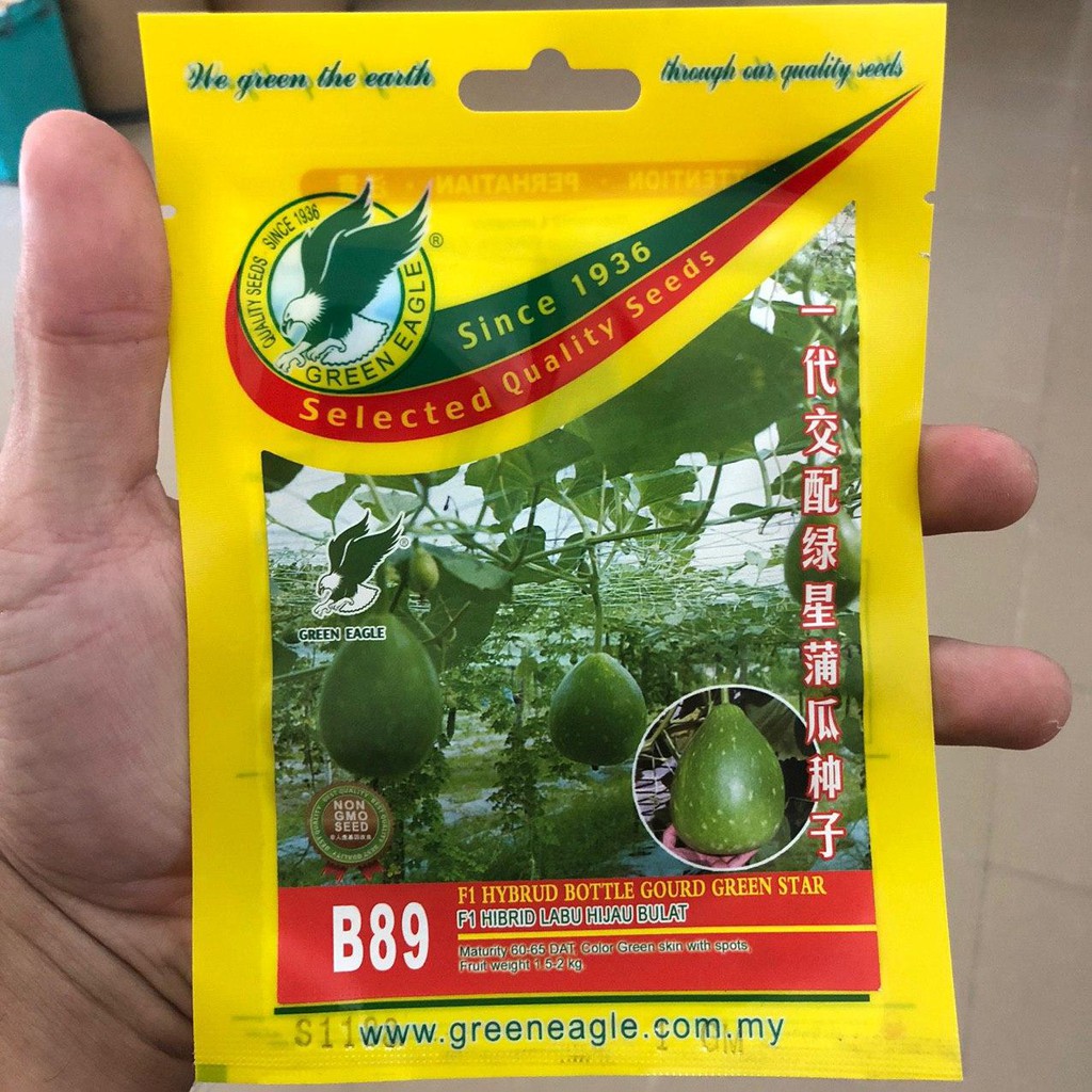 Benih Labu Air Hijau Bulat/Bottle Gourd Green Star GREEN EAGLE B89 (1gm ...