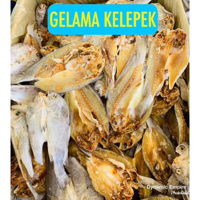 IKAN KERING GELAMA BELAH GELAMA KLEPEK GELAMA BEKOK IKAN GELAMA JERUK ...