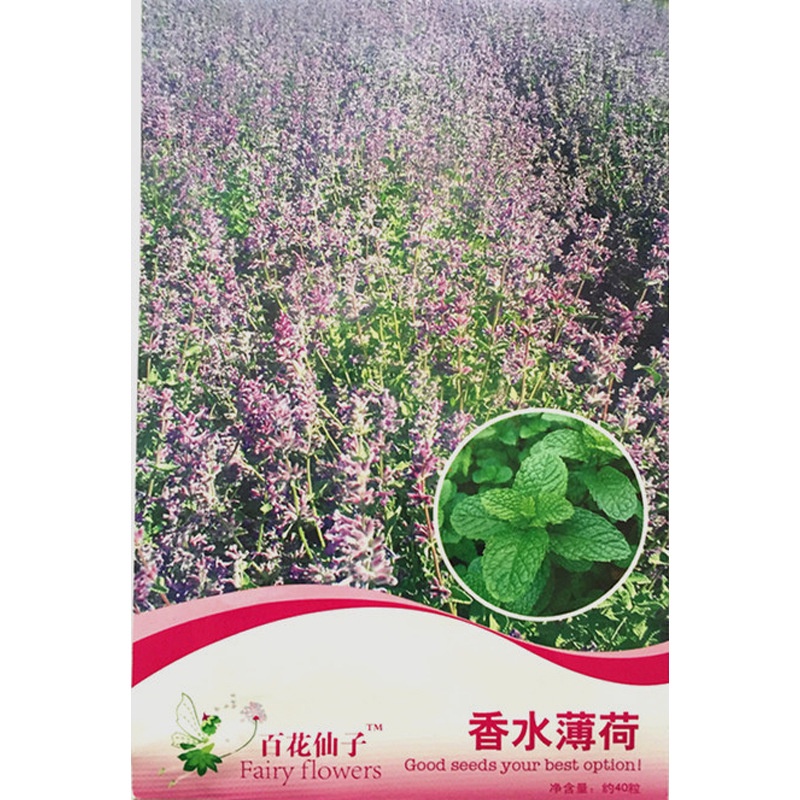 Mint Seeds Pelbagai Biji Benih Pudina Spear Mint Herbs Seeds Spearmint ...
