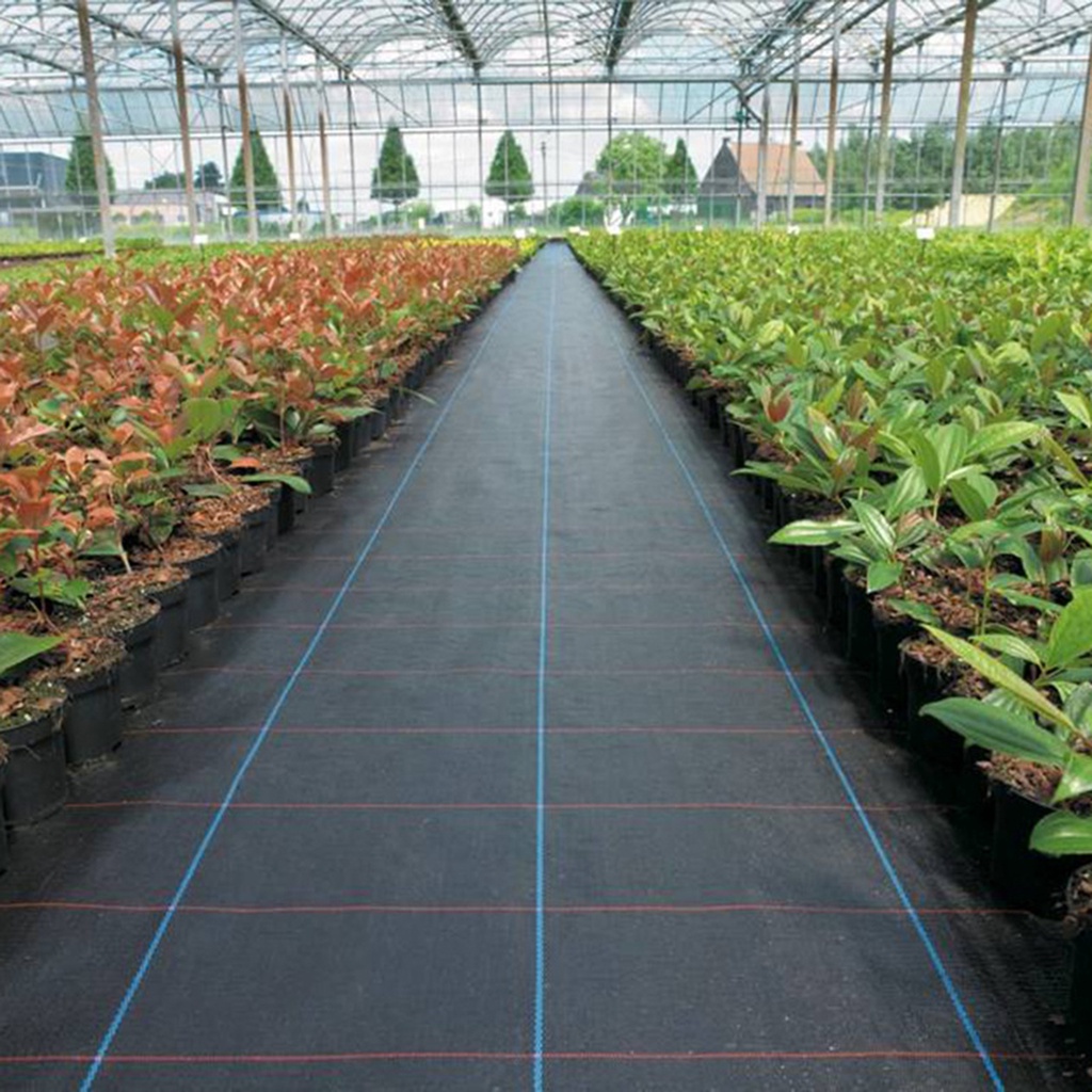 Ground Cover Anti Grass Cloth Sheet Mat Plastic Mulch Garden Landscape ...