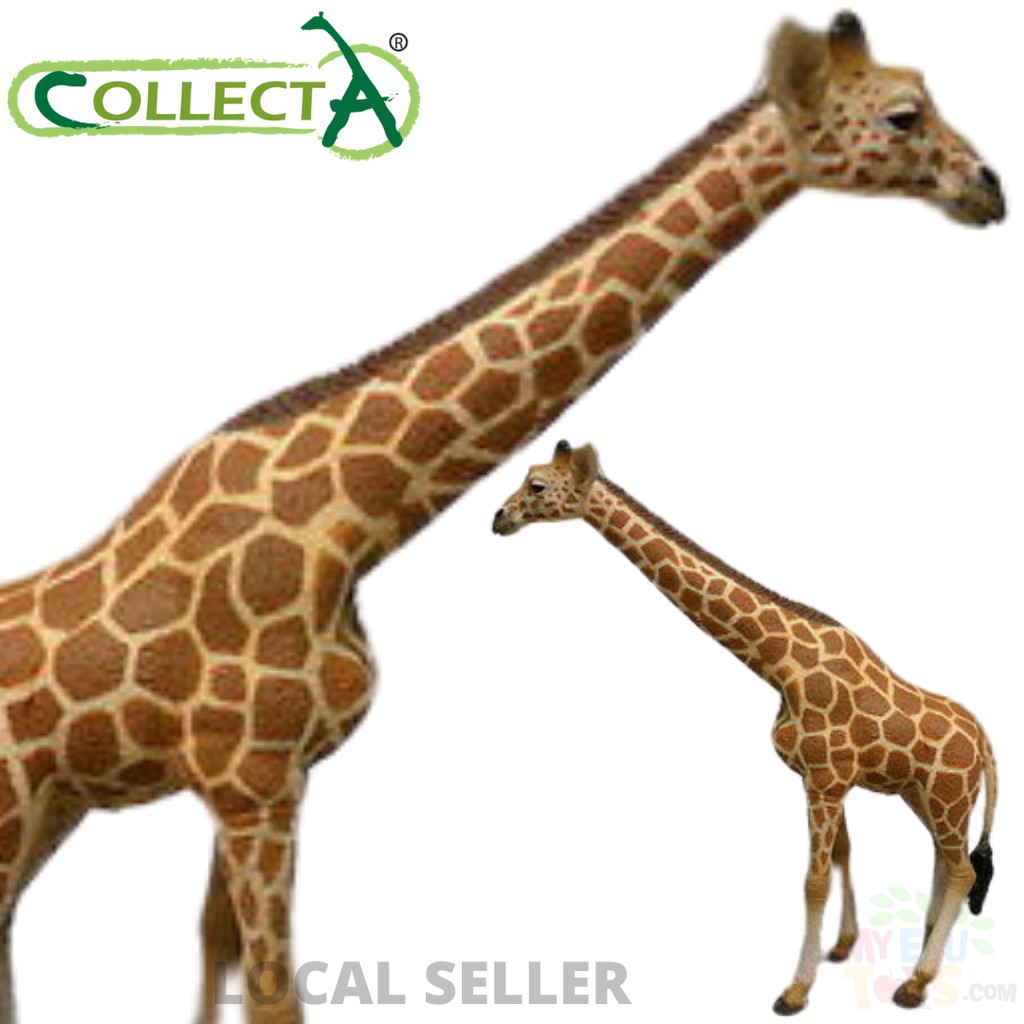 Reticulated Giraffe - Collecta 88534 Wild Life Animal Action Figures ...