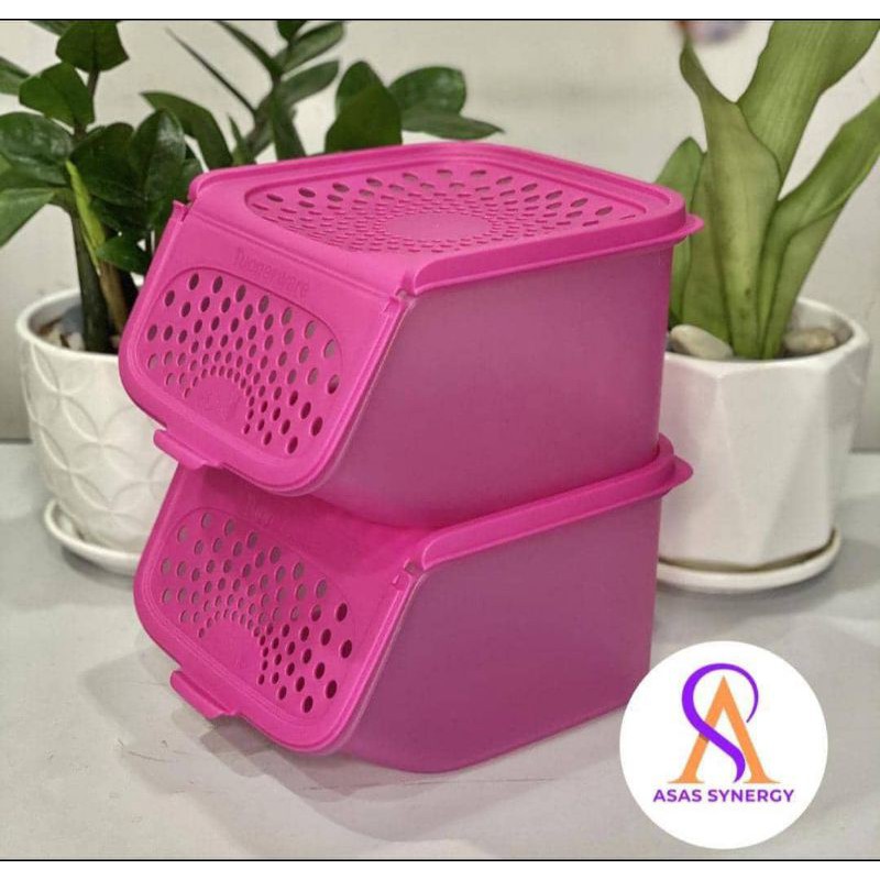 💥PREORDER💥Tupperware garlic n all keeper 3L purple (1pc ) or 2.3L PINK | Shopee Malaysia