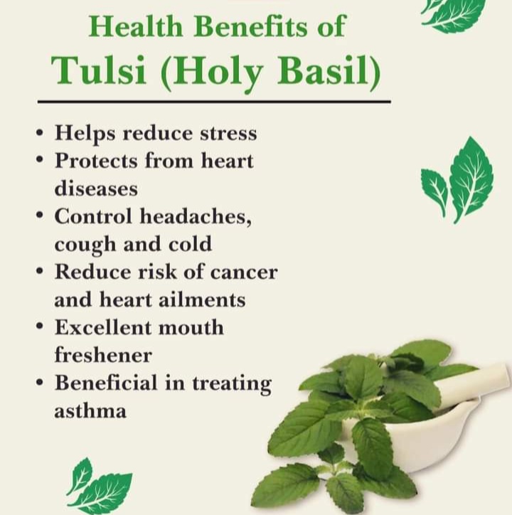 100% PURE NATURAL TULSI (TULASI, HOLY BASIL) LEAVES POWDER 90 GMS ...