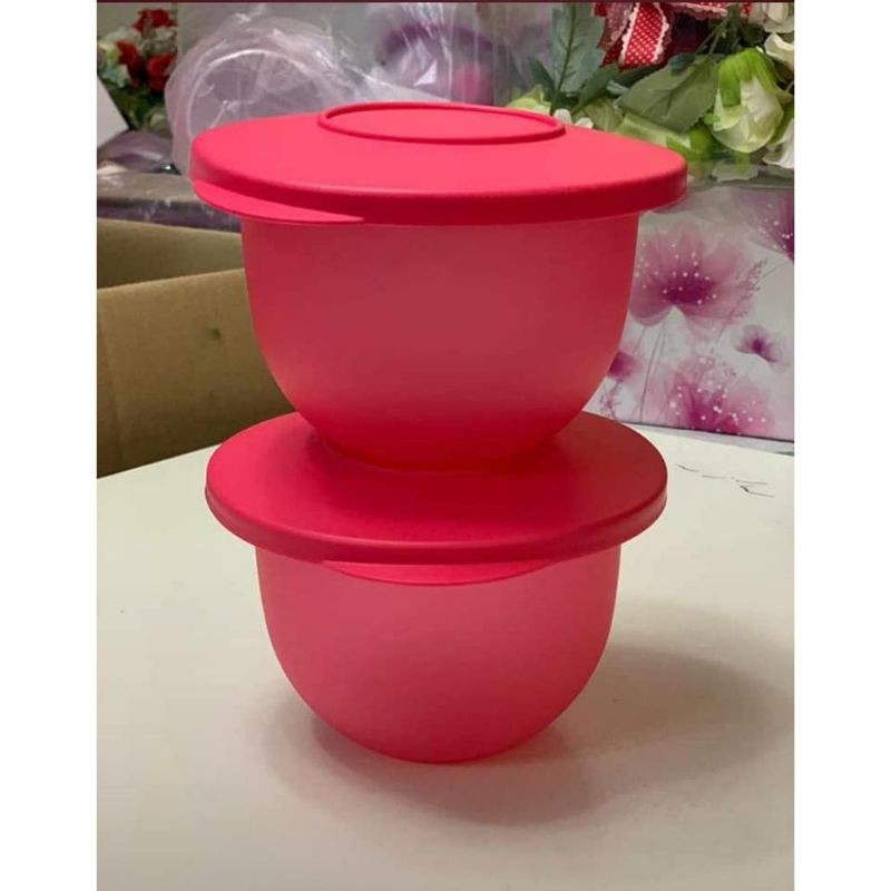 Tupperware Expression Bowl 550ml (Bekas Buah, Baby Food, Puree ...