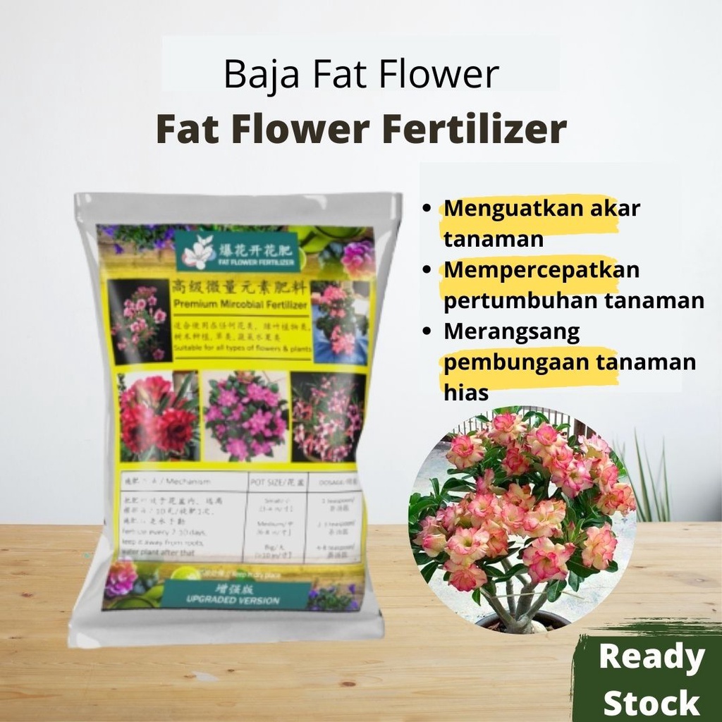 【Fat Fat Flower 肥肥花】Baja Fat Flower | Fat Flower Fertilizer | 爆花开花肥 ...