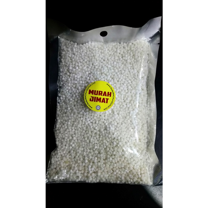 White Sago Seeds/Biji Sagu Putih 1 Packet | Shopee Malaysia