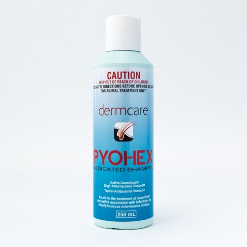 Pyohex Medicated Shampoo 250ml (Original) | Shopee Malaysia
