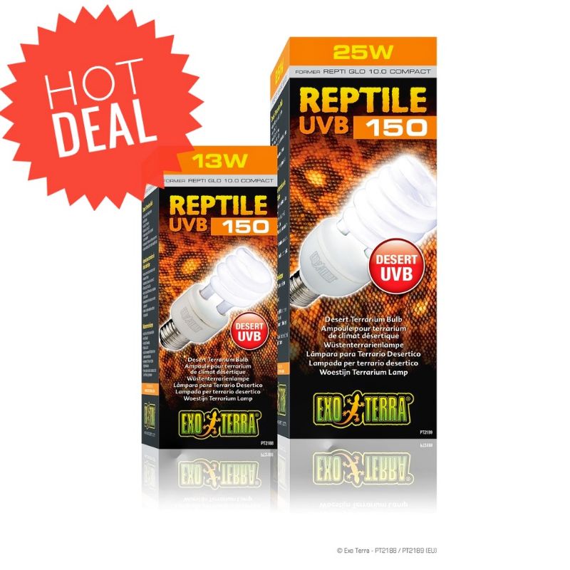 Exo Terra Reptile UVB 150 Desert Terrarium Bulb | Shopee Malaysia