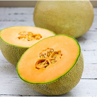 10 seeds Benih Rock Melon Sakata Glamour F1 Hybrid repack rockmelon ...