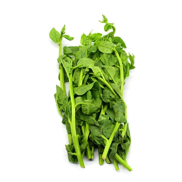 Chan Choy (Sayur Raja) - 500g | Shopee Malaysia