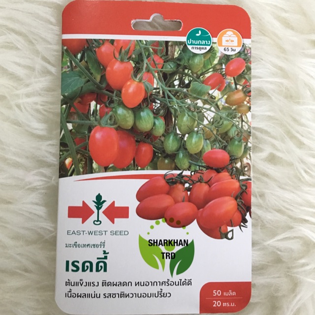 Mini Pack 50 Seeds READY Biji Benih Tomato Ceri Premium Cherry Tomatoes ...