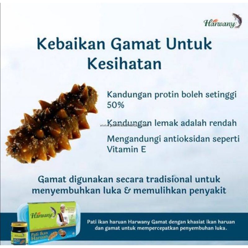 HARWANY PATI IKAN HARUAN PLUS GAMAT 6btl (1box) | Shopee Malaysia
