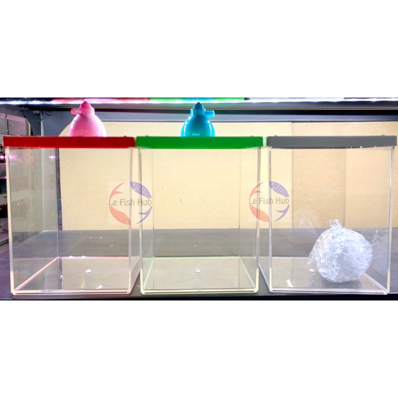 AQUARIUM BETTA FISH TANK 2L WITH MINI LED LIGHT 💡 | Shopee Malaysia