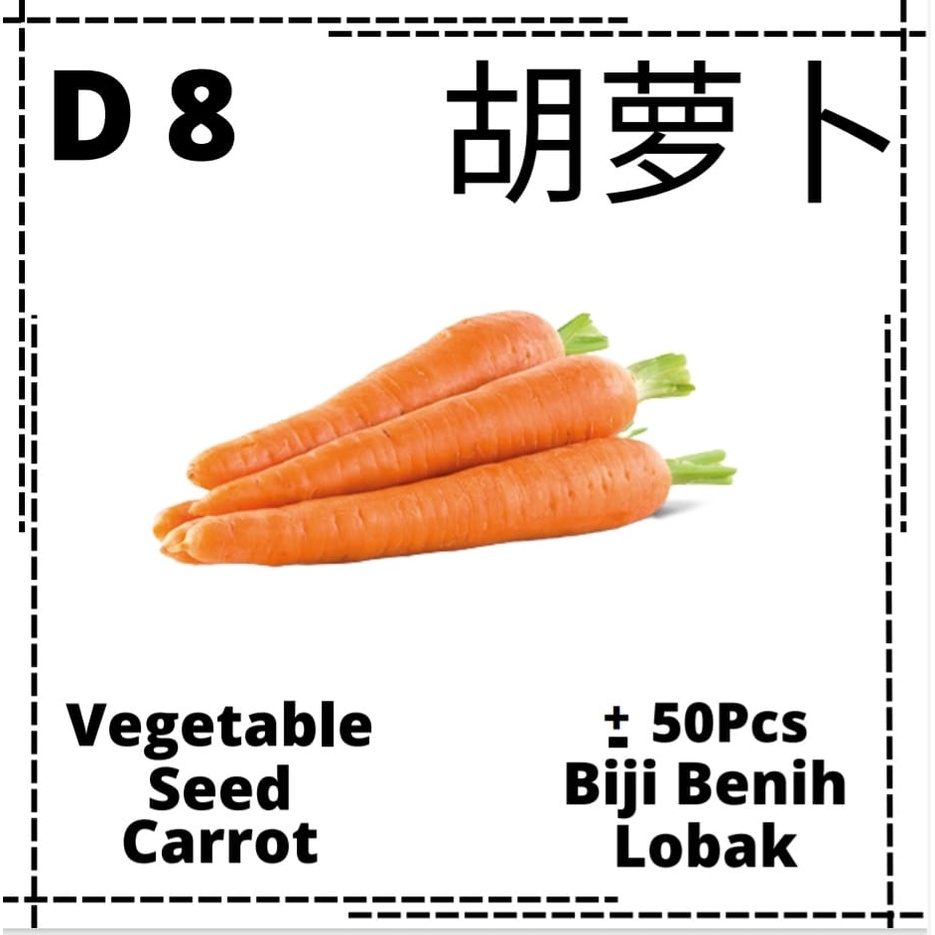 Kailan Kangkung Sawi Japanese Salad Biji Benih Vege Sayur sayuran ...