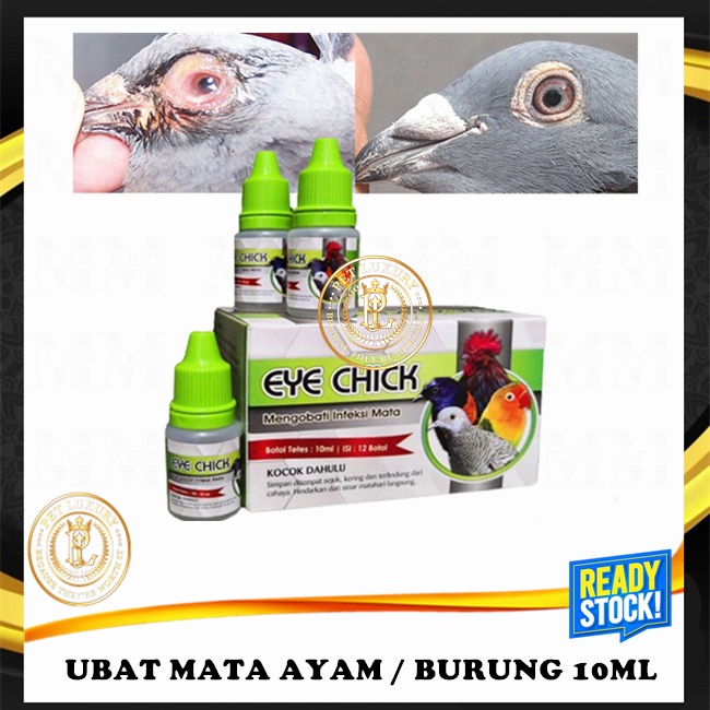 Eye Chick Poultry Eye Infestion Drops for Birds Chicken 10ML / Ubat ...