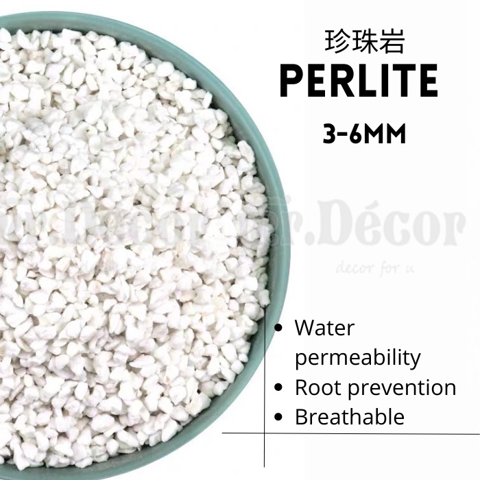 1L PERLITE STONE BONSAI SUCCULENT CACTUS SOIL BATU TANAH GARDENING 珍珠岩 ...