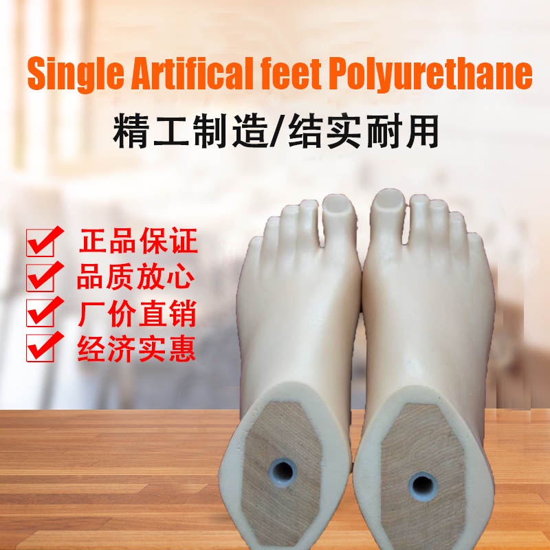 Prosthetic Accessories Foot plate moves double Artifical feet ...