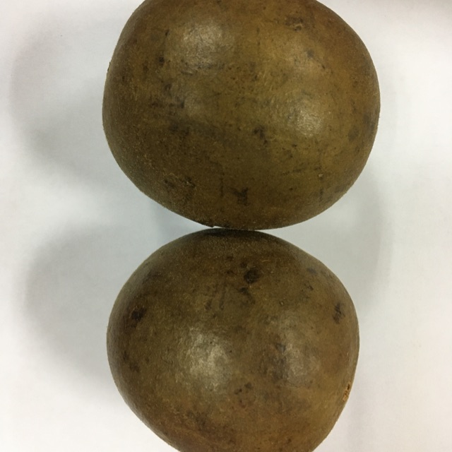 New High Mountain Old tree Monk Fruits (XL)特大正宗广西高山老树罗汉果 | Shopee Malaysia
