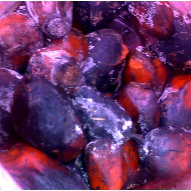 Sawit Peram (Makanan kesukaan Ikan Temelian/Temoleh) | Shopee Malaysia