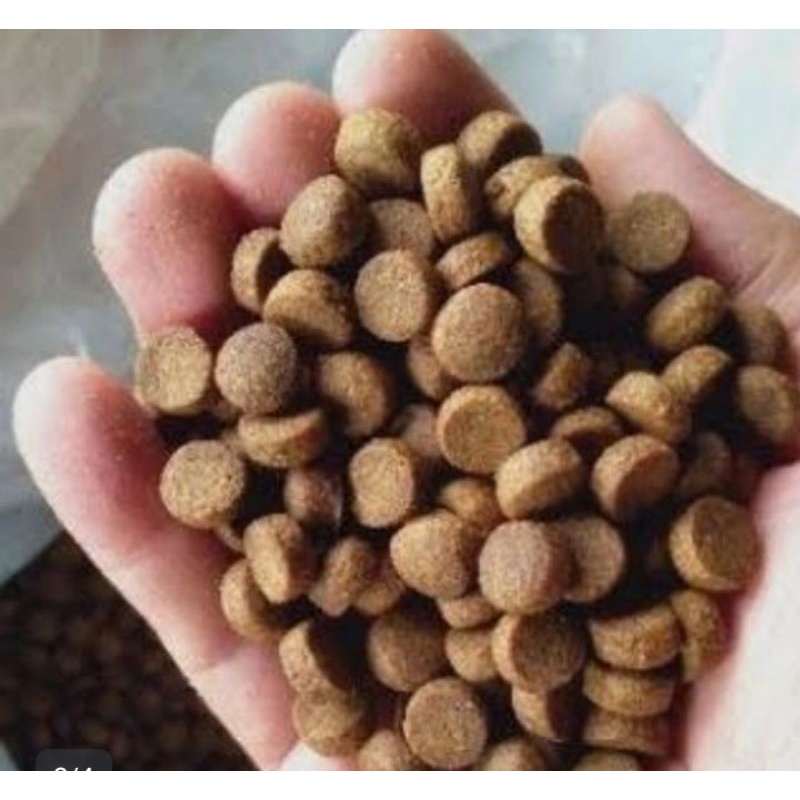 Primafeed PF128 fish broodstock feed 1kg | Shopee Malaysia