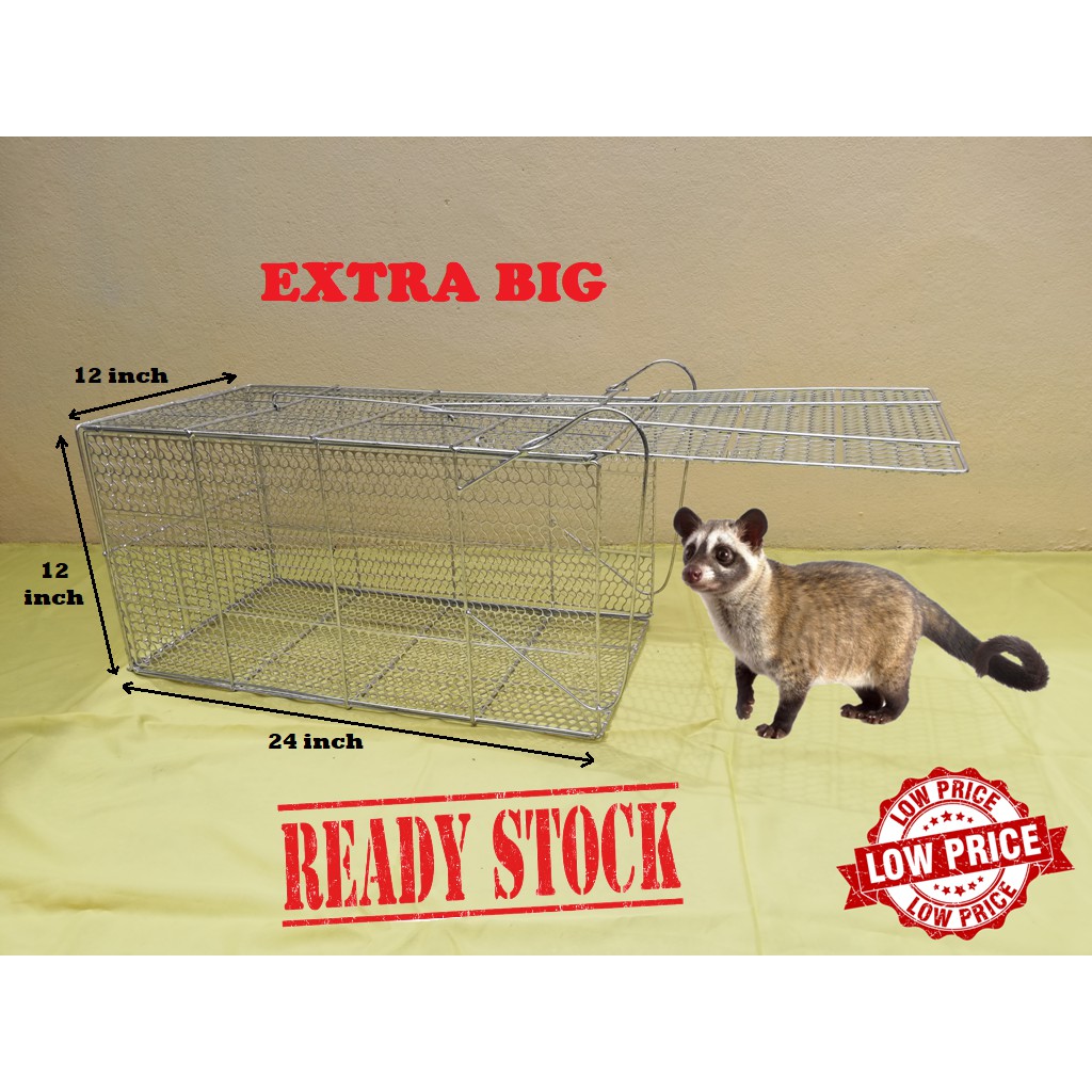 Fox, Cat, Squirrel Trap Cage/Sangkar Musang / Musang Cage/ Cat Cage ...
