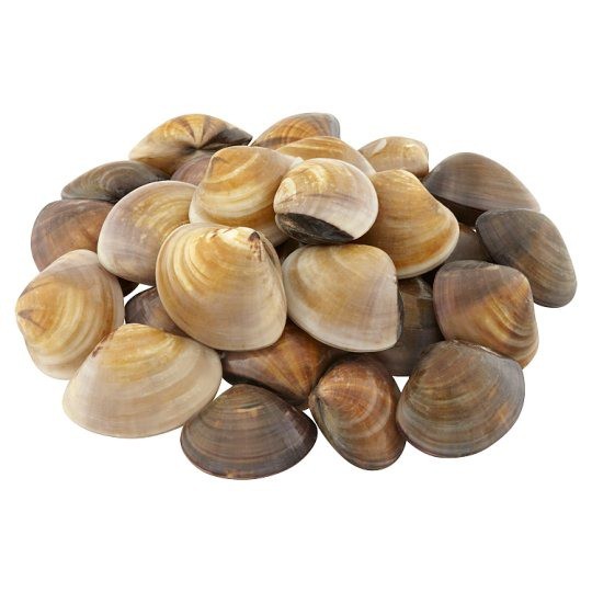 Kepah Segar / Fresh Clam | Shopee Malaysia
