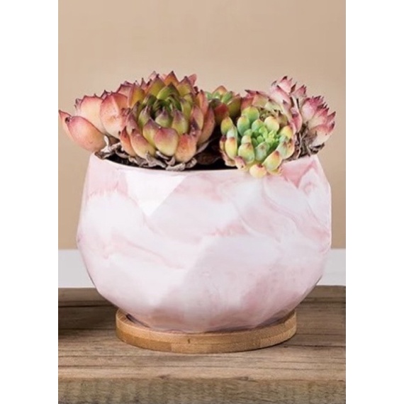 Aesthetic Ceramic Pot Marble Series Faceted Colorful For Succulent ...