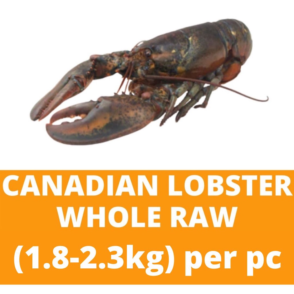 Canadian Lobster Whole Raw (1.8-2.3kg)+/- 加拿大龙虾 Sung Tao Frozen Seafood ...