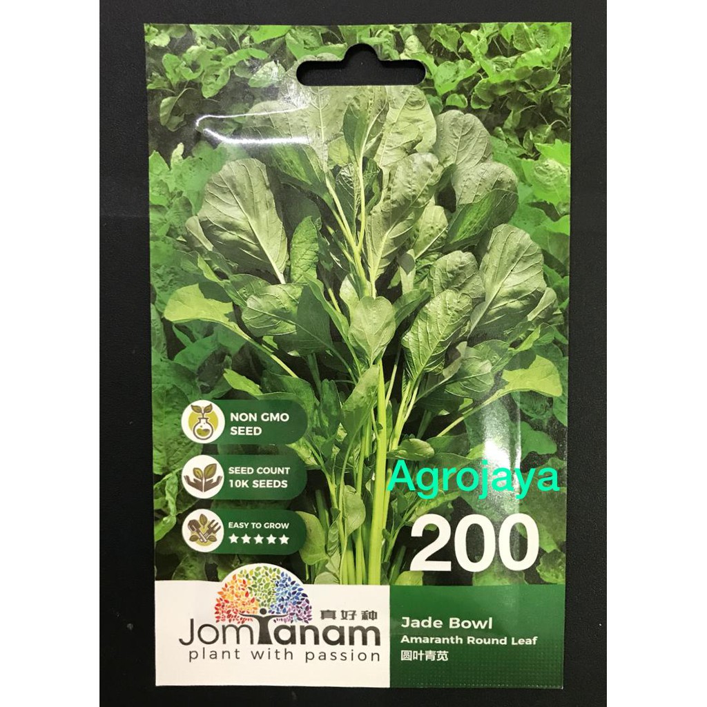 AMARANTH SPINACH ROUND LEAF SEED / BENIH BAYAM JADE BOWL (10K BIJI) JT ...