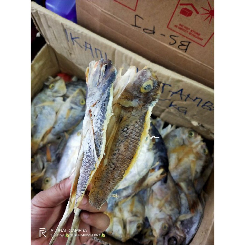 IKAN MASIN KUTAMBAK DARI SABAH | Shopee Malaysia