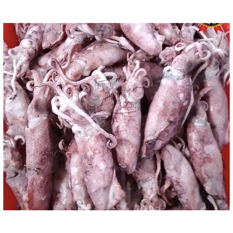 Cumi asin telor indonesia 500g | Shopee Malaysia