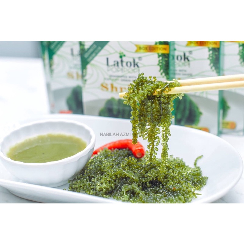 Latok pop pop + free gift + sos hijau ( Ready stok + fast shipping ...